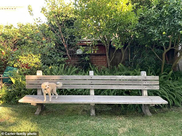 Iconic 90s movie prop that miraculously survived LA wildfires