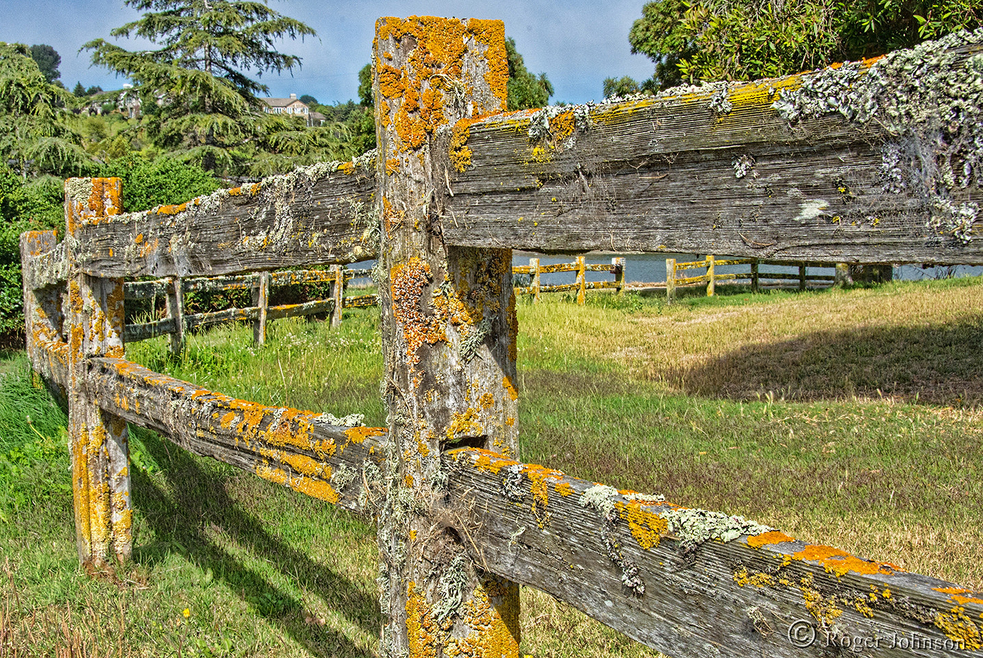 14 Fence Installation Ideas For Every Budget