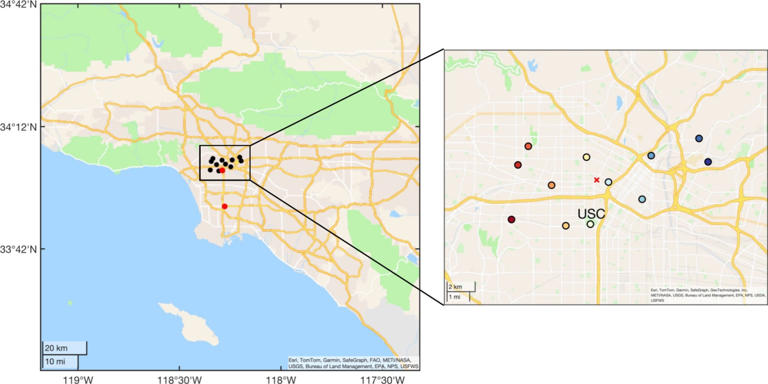 Los Angeles' trees can absorb up to 60% of daytime CO2 emissions