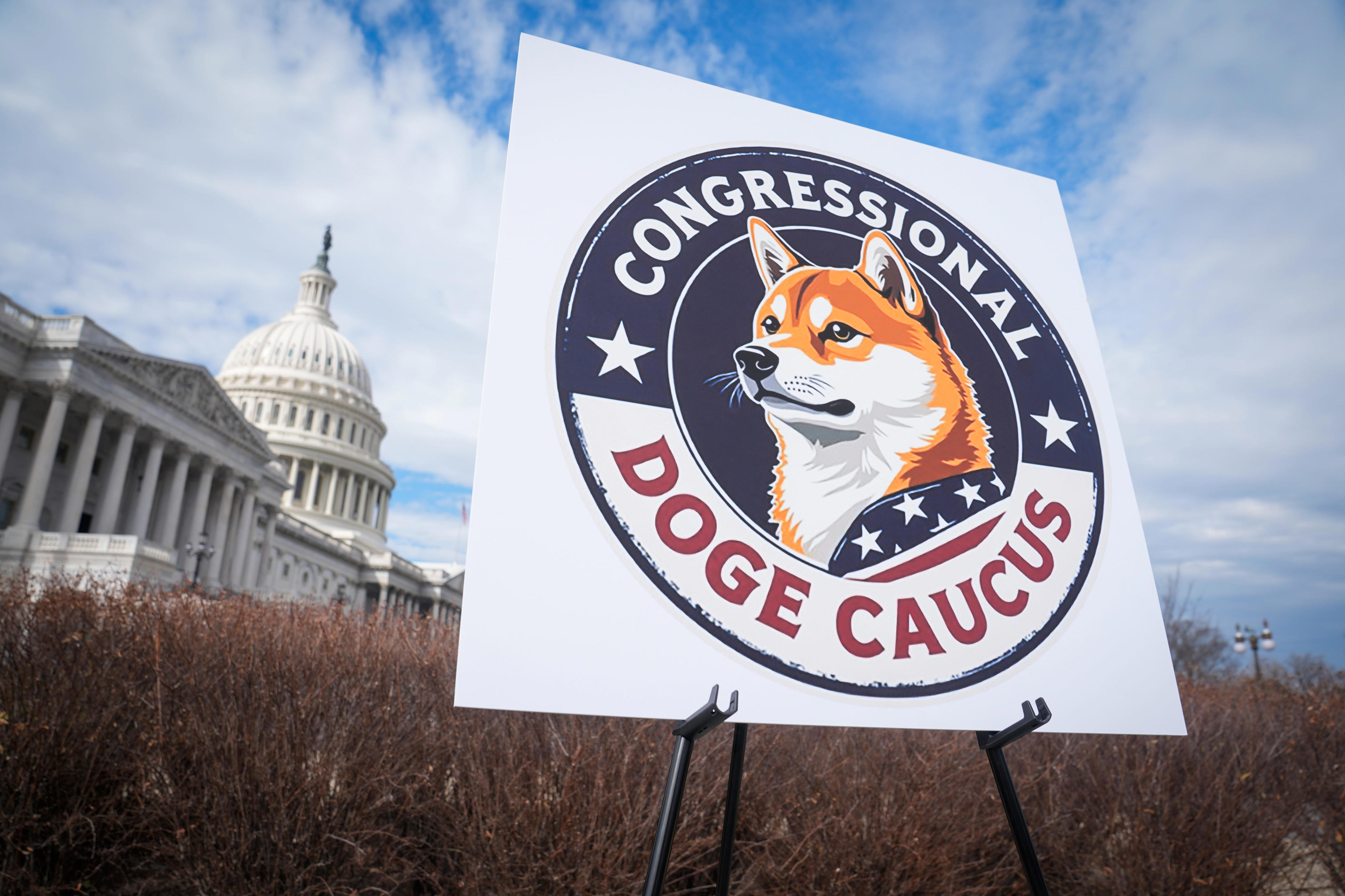 What does DOGE stand for? What to know about the agency and its ties to ...