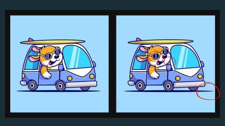 Find the Difference: Can you spot 3 differences in this puppy driving ...