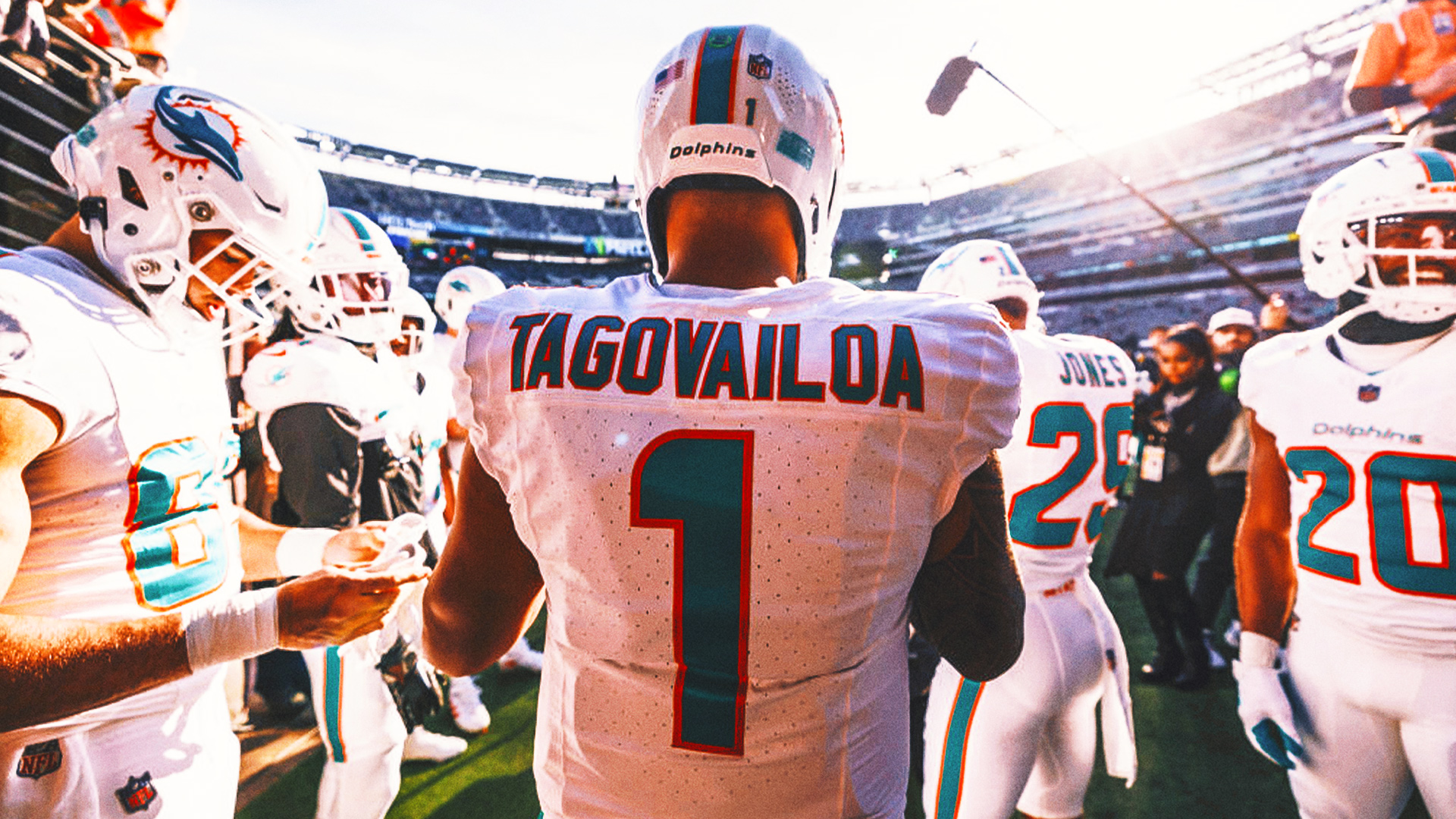 NFLPA releases team report cards: Dolphins get best marks, Cardinals ...