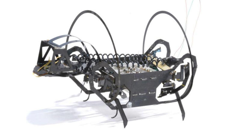 Harvard’s insect-inspired spring robot jumps 23 times its length for ...