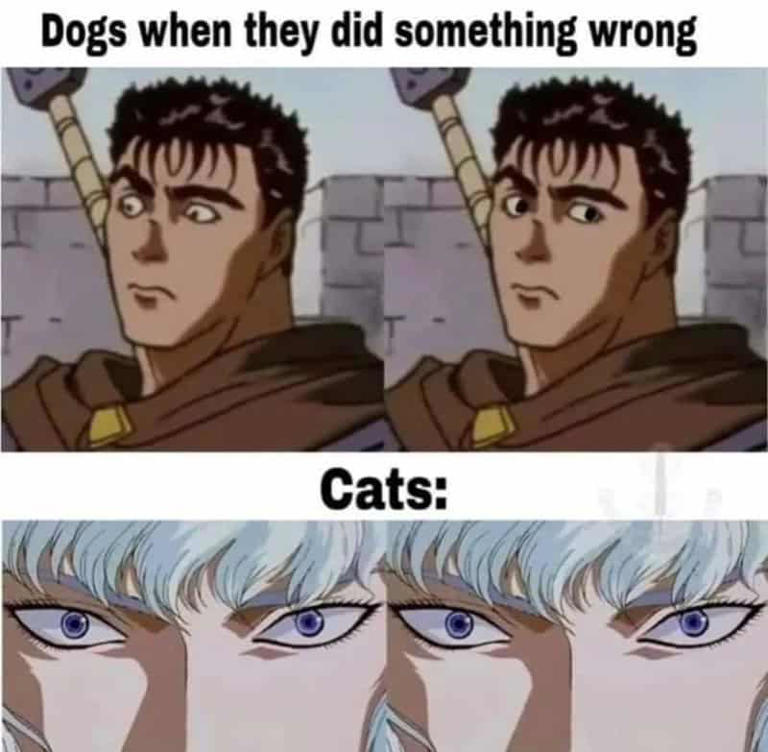 35 Nostalgic 90s Anime Memes For Toonami Brats Who Now Have Vegeta's ...