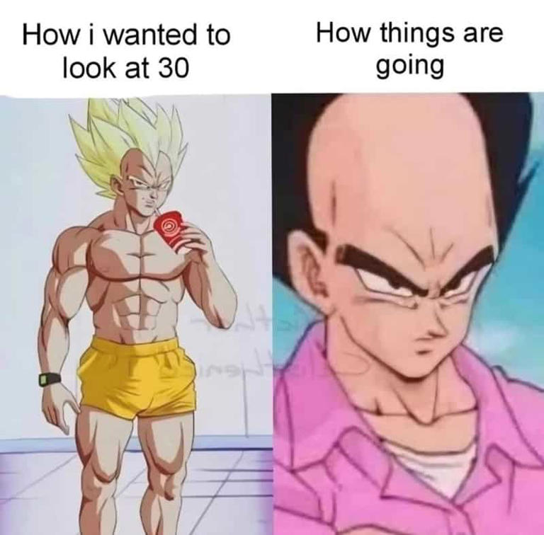 35 Nostalgic 90s Anime Memes For Toonami Brats Who Now Have Vegeta's ...