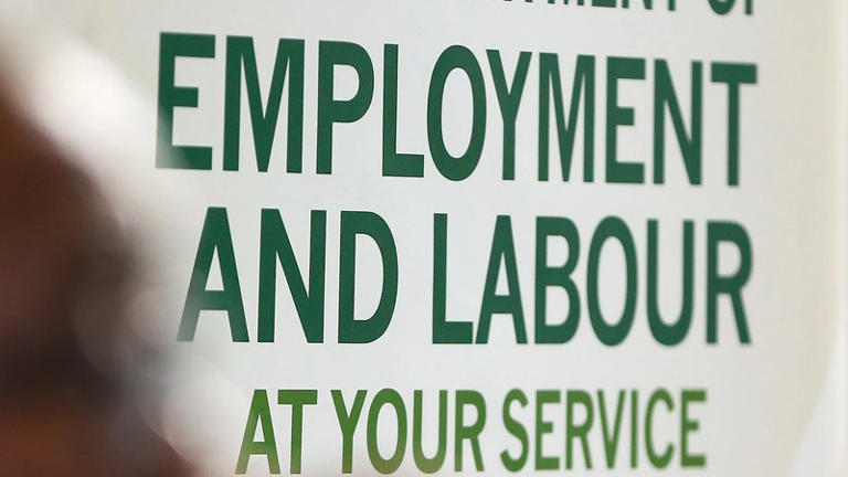 Navigating the employment equity challenges in South Africa's ...