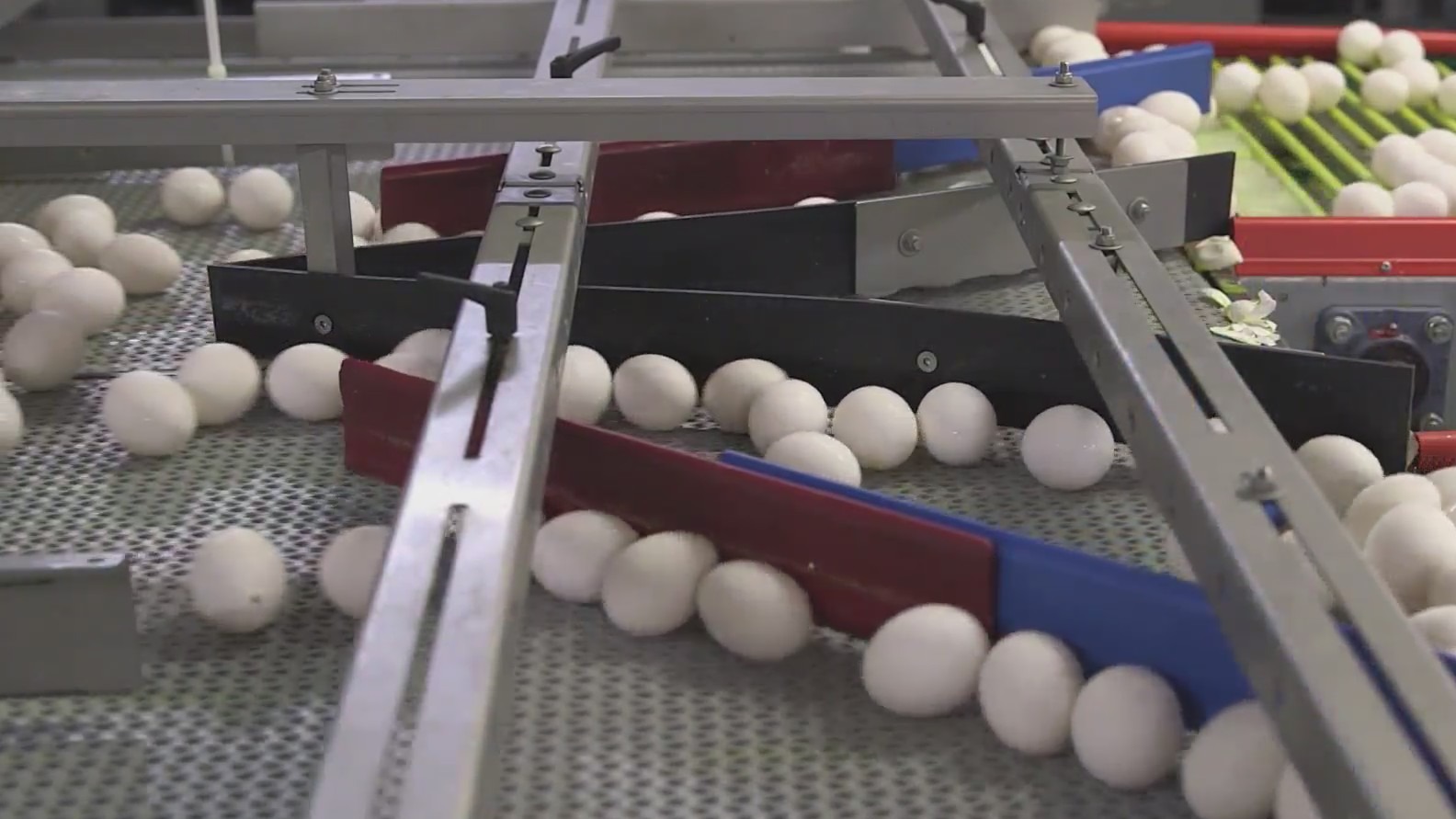 Egg prices could jump 41% this year, USDA says, as Trump's bird flu ...