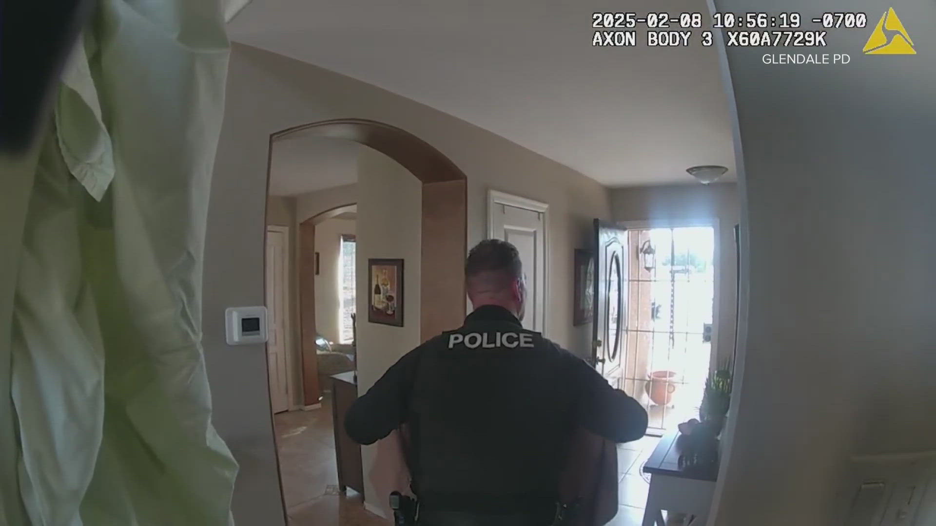 Pigeon leads Glendale police on pursuit