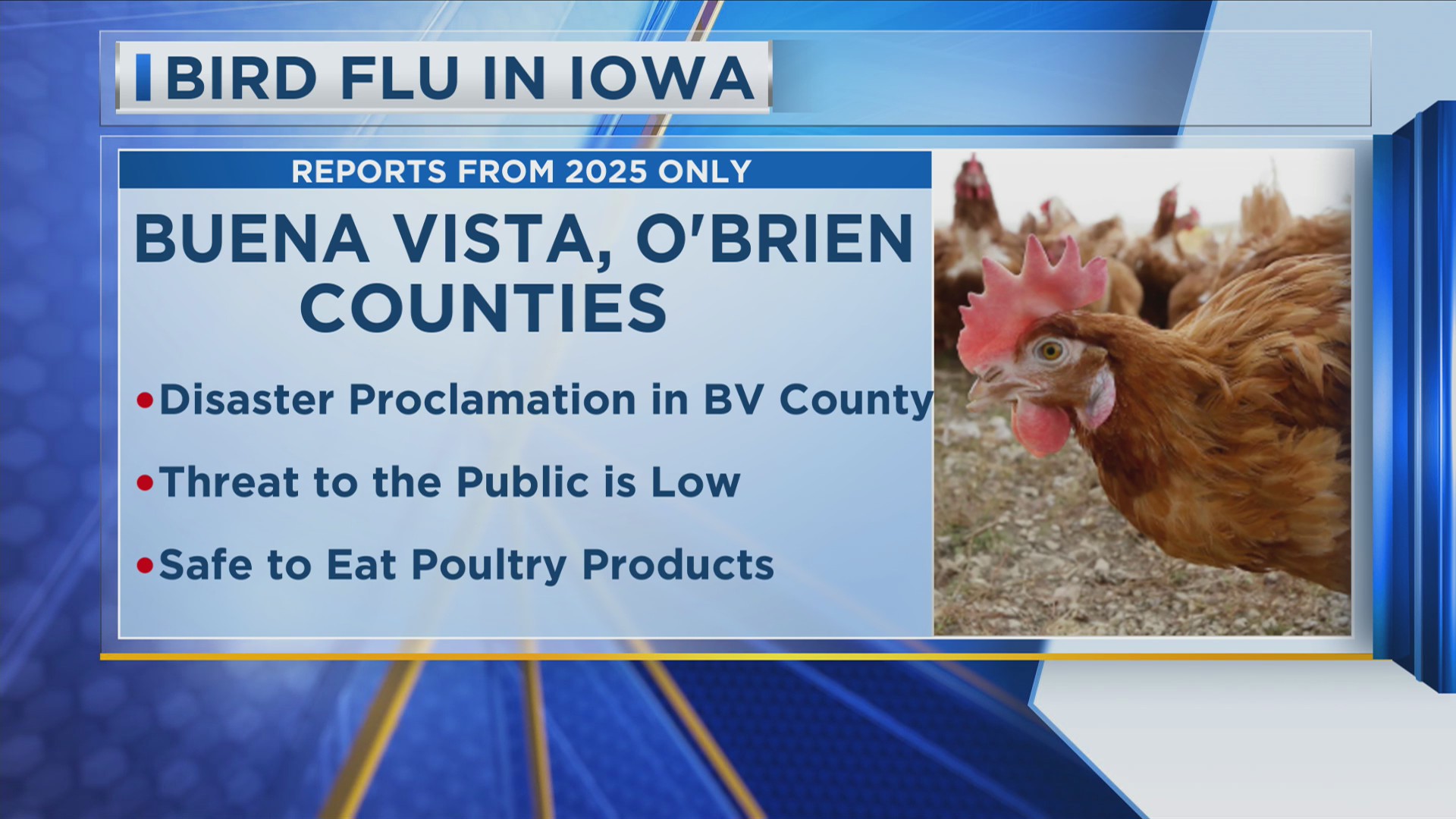 Bird Flu Update