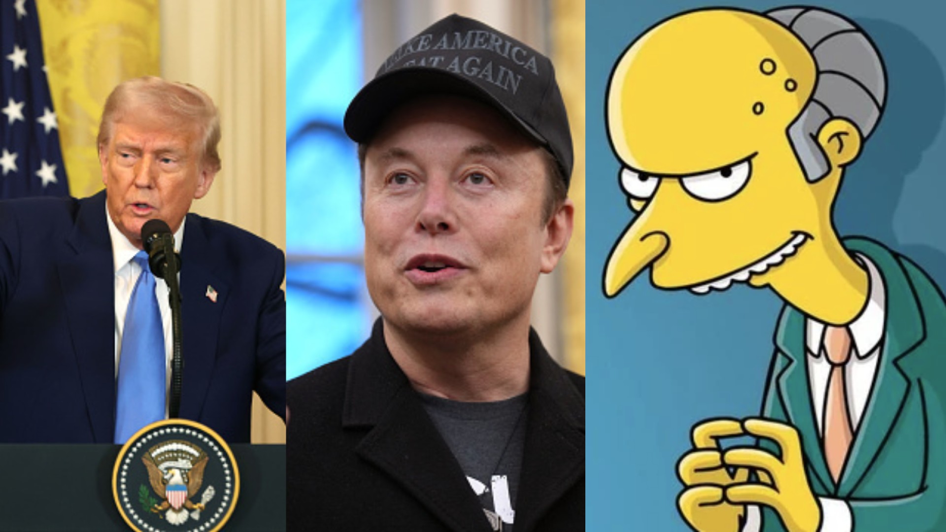 Dethroned! 'Powerless' Trump watches Musk go 'full Monty Burns' at own ...