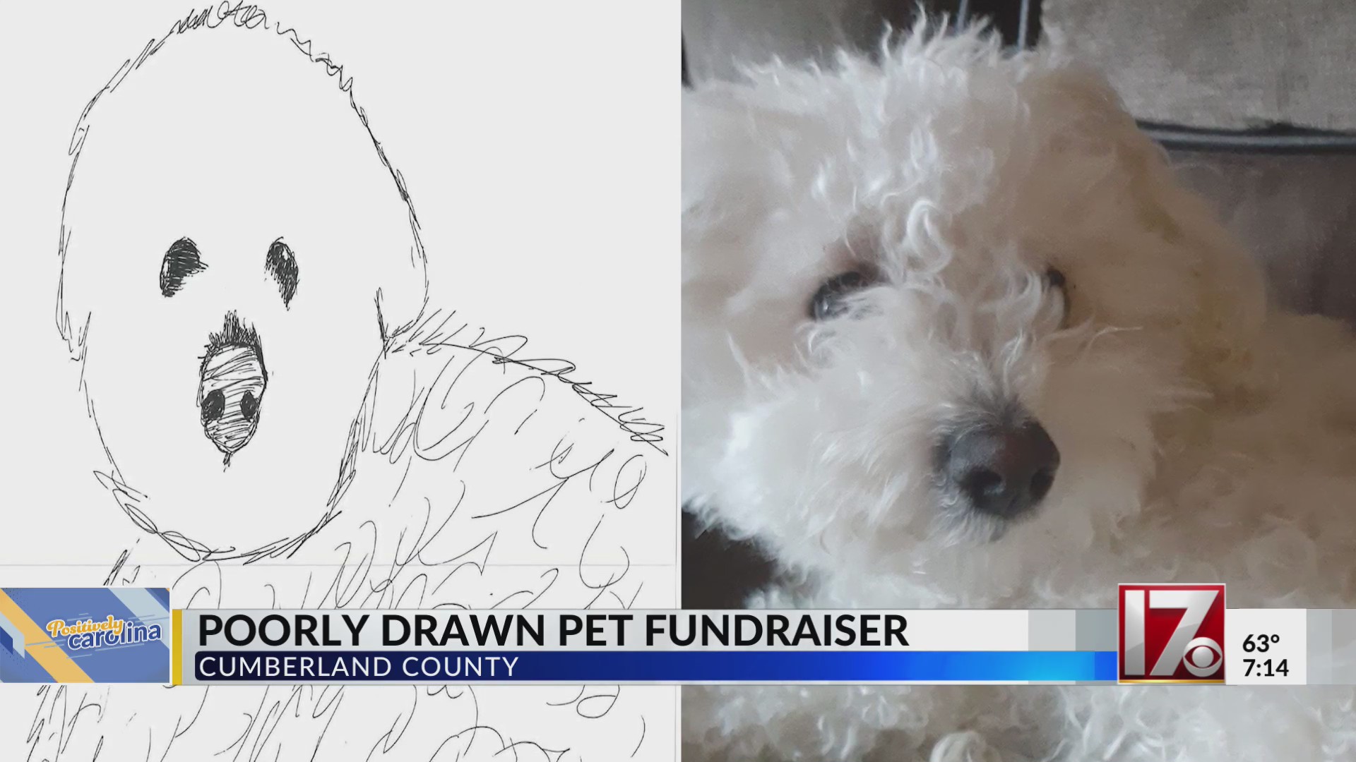 Cumberland County Animal Services fundraiser featuring poorly drawn pets