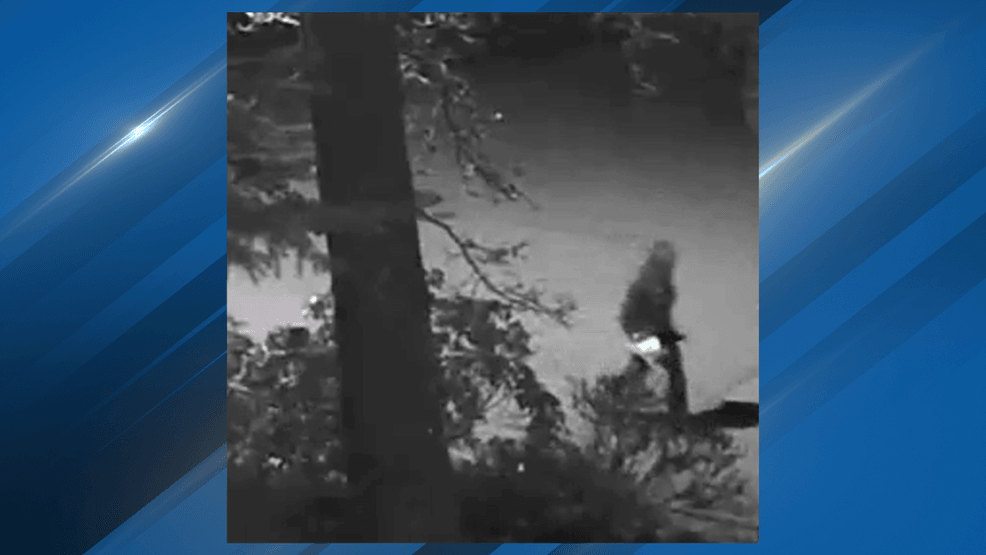 Surveillance photo released of suspect in shooting at insurance CEO's ...