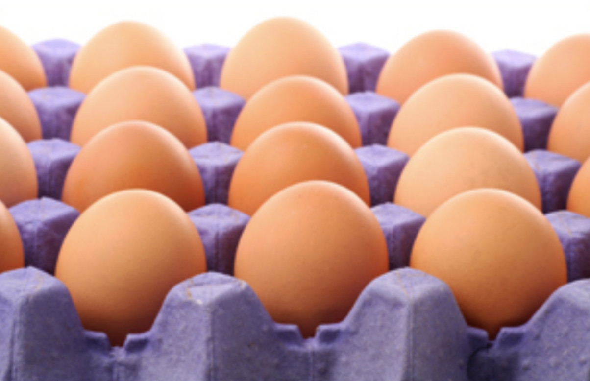 U.S. files pandemic fraud complaint against 2 brothers over alleged ...