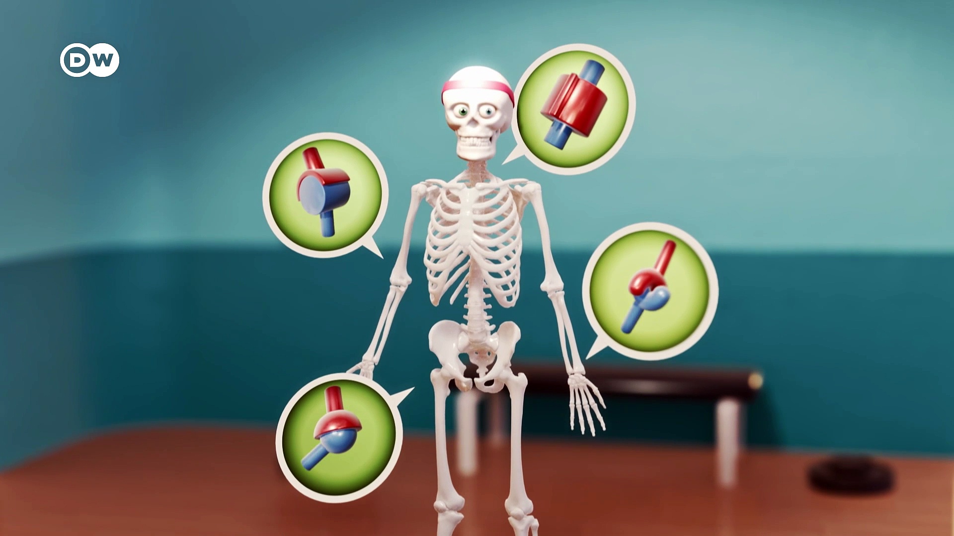 How do our joints work?