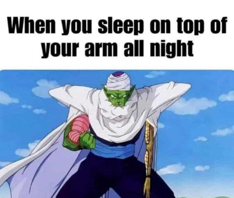 35 Nostalgic 90s Anime Memes For Toonami Brats Who Now Have Vegeta's ...