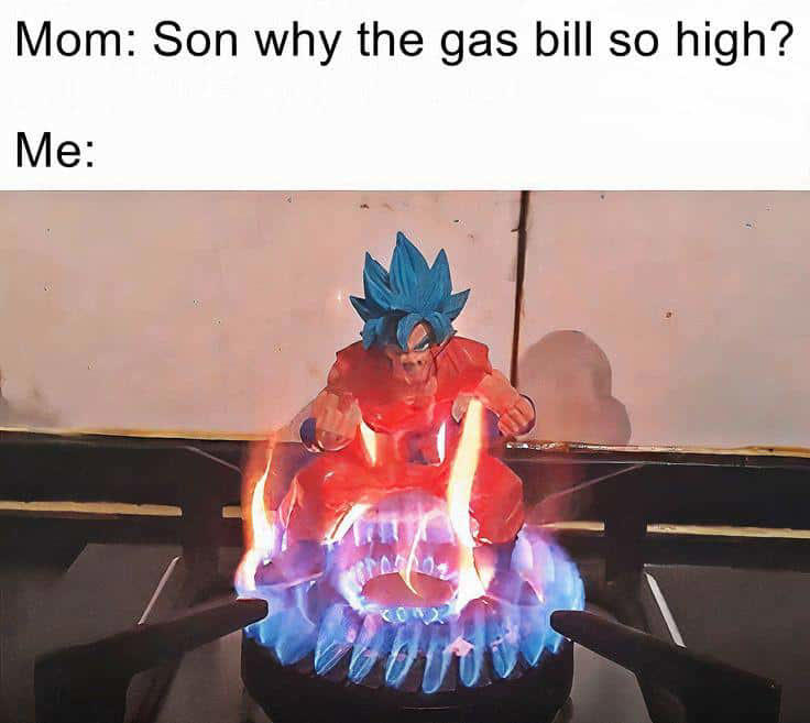 35 Nostalgic 90s Anime Memes For Toonami Brats Who Now Have Vegeta's ...