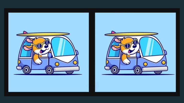Find the Difference: Can you spot 3 differences in this puppy driving ...