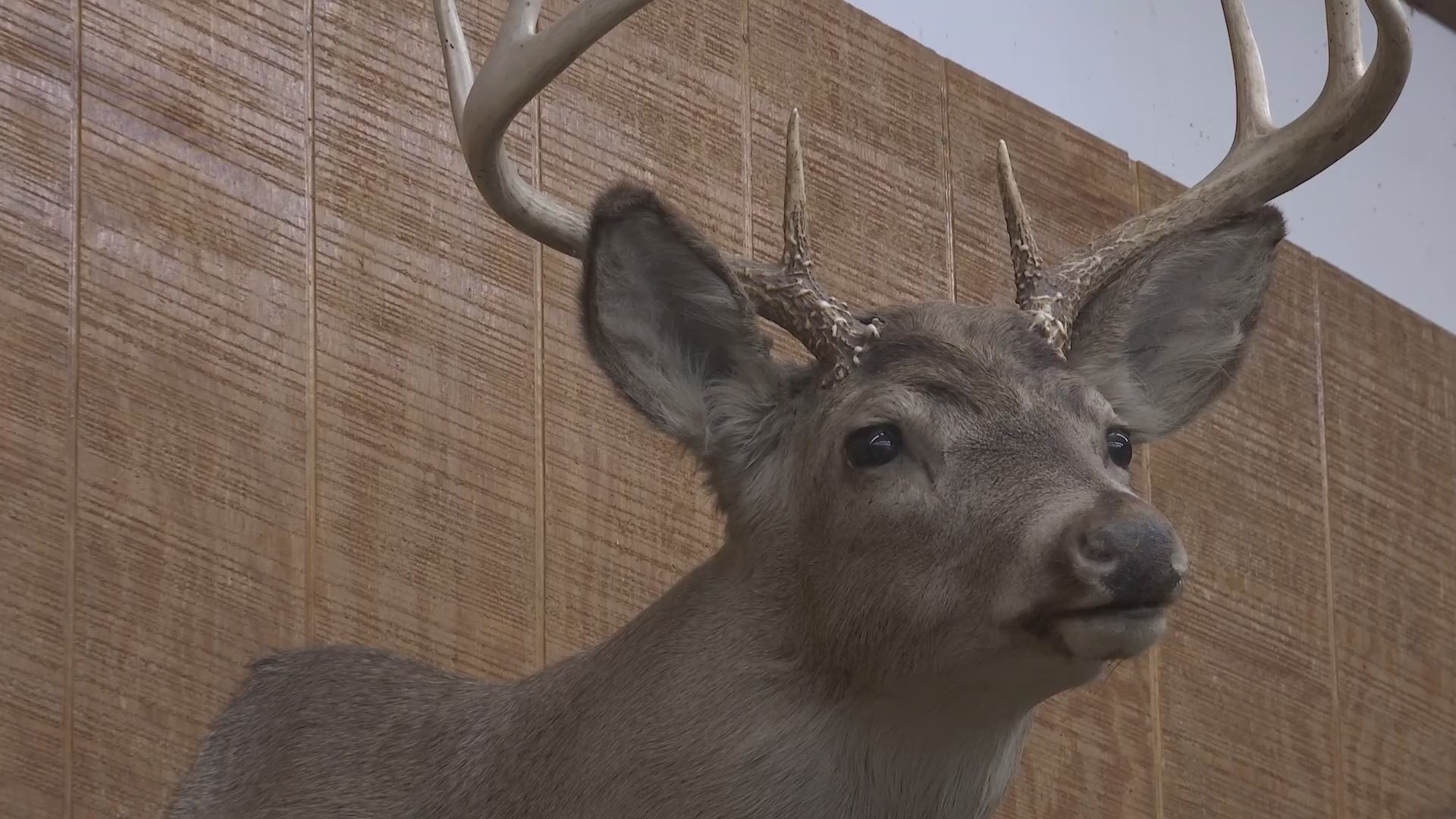 Rep. Brian Smith urging Harrisburg to change opening day back to Monday