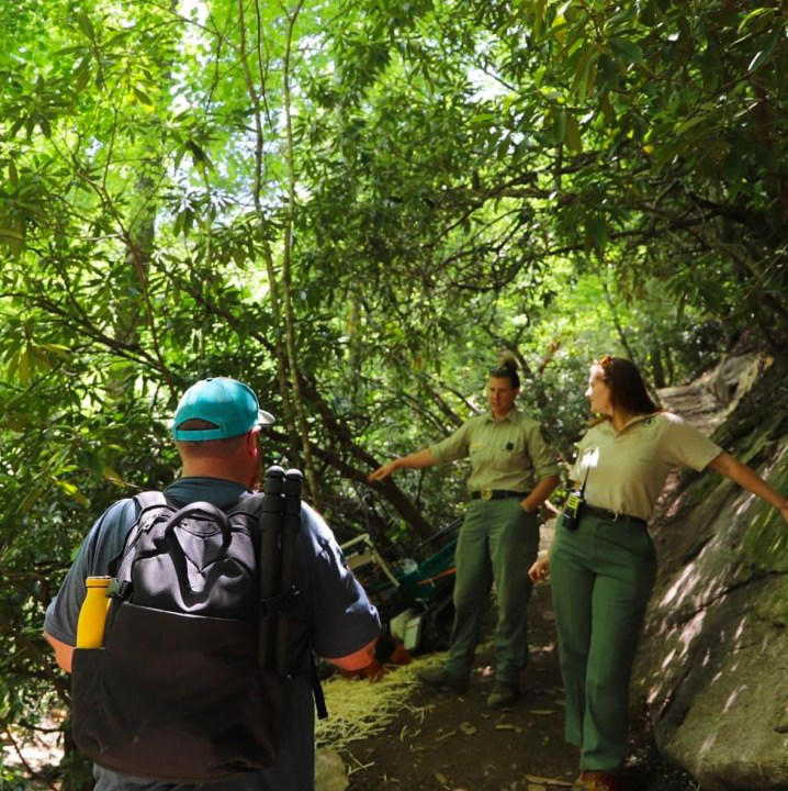‘A nightmare’: Now-former U.S. Forest Service worker speaks about ...