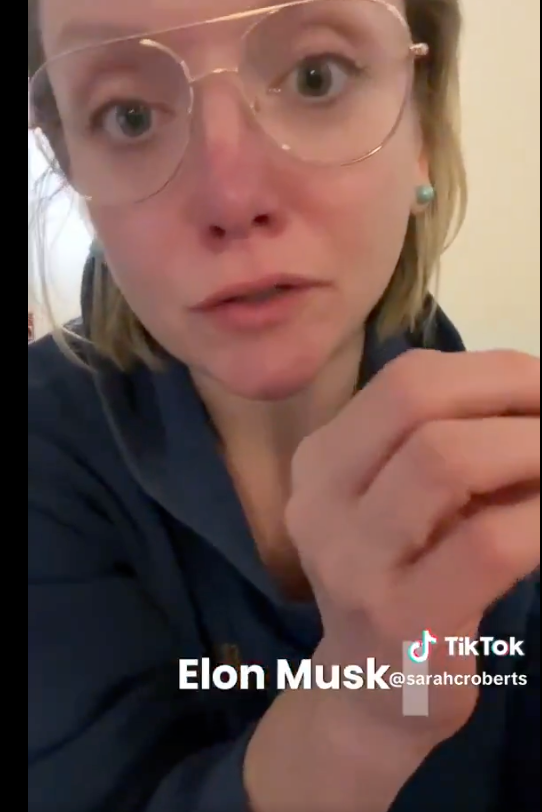 TikToker who called for Elon Musk to be assassinated probed by Trump ...