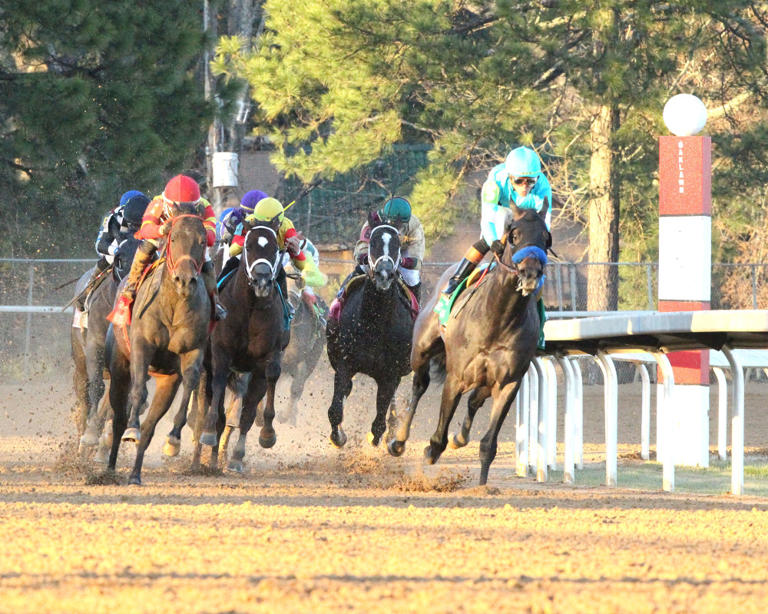 Madaket Road, British Isles join Pegasus World Cup lineup