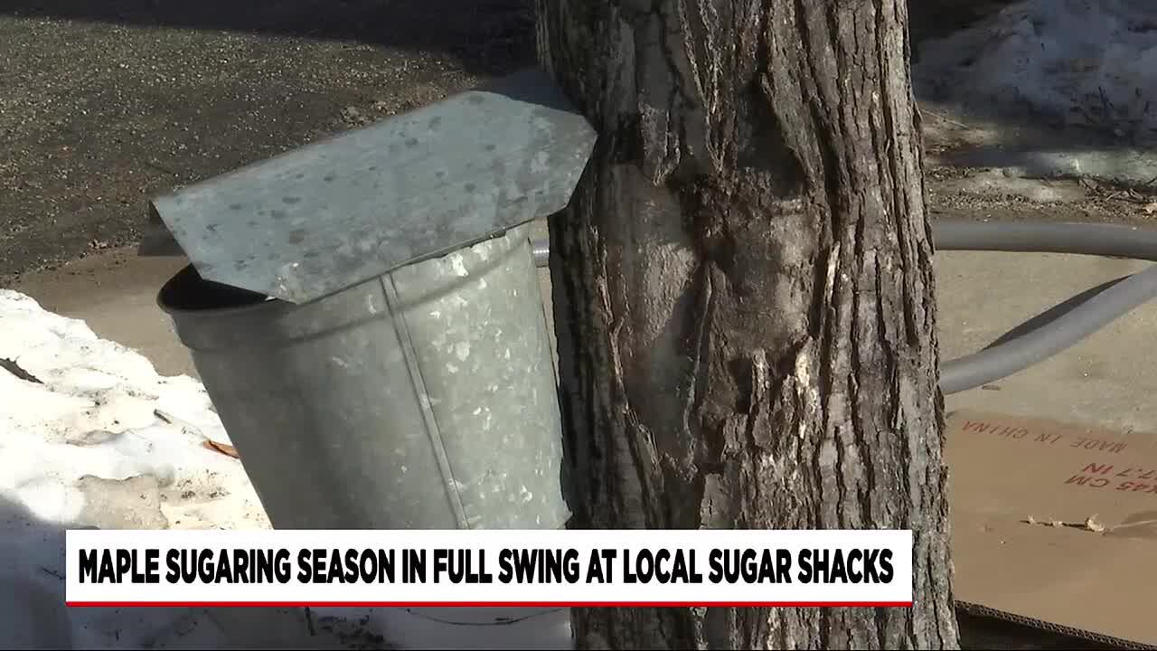 Maple syrup season underway at local sugar shacks