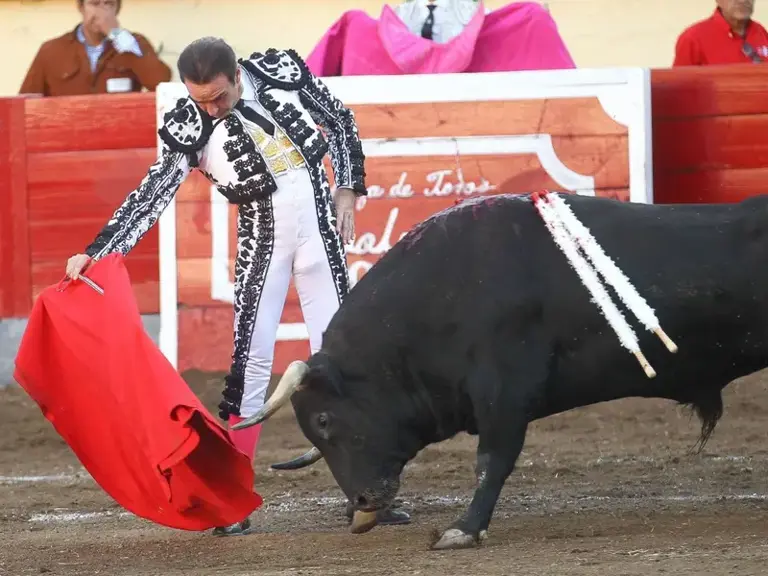 ¿Adiós, maltrato? Ordenan no usar instrumentos que lastimen a toros en ...