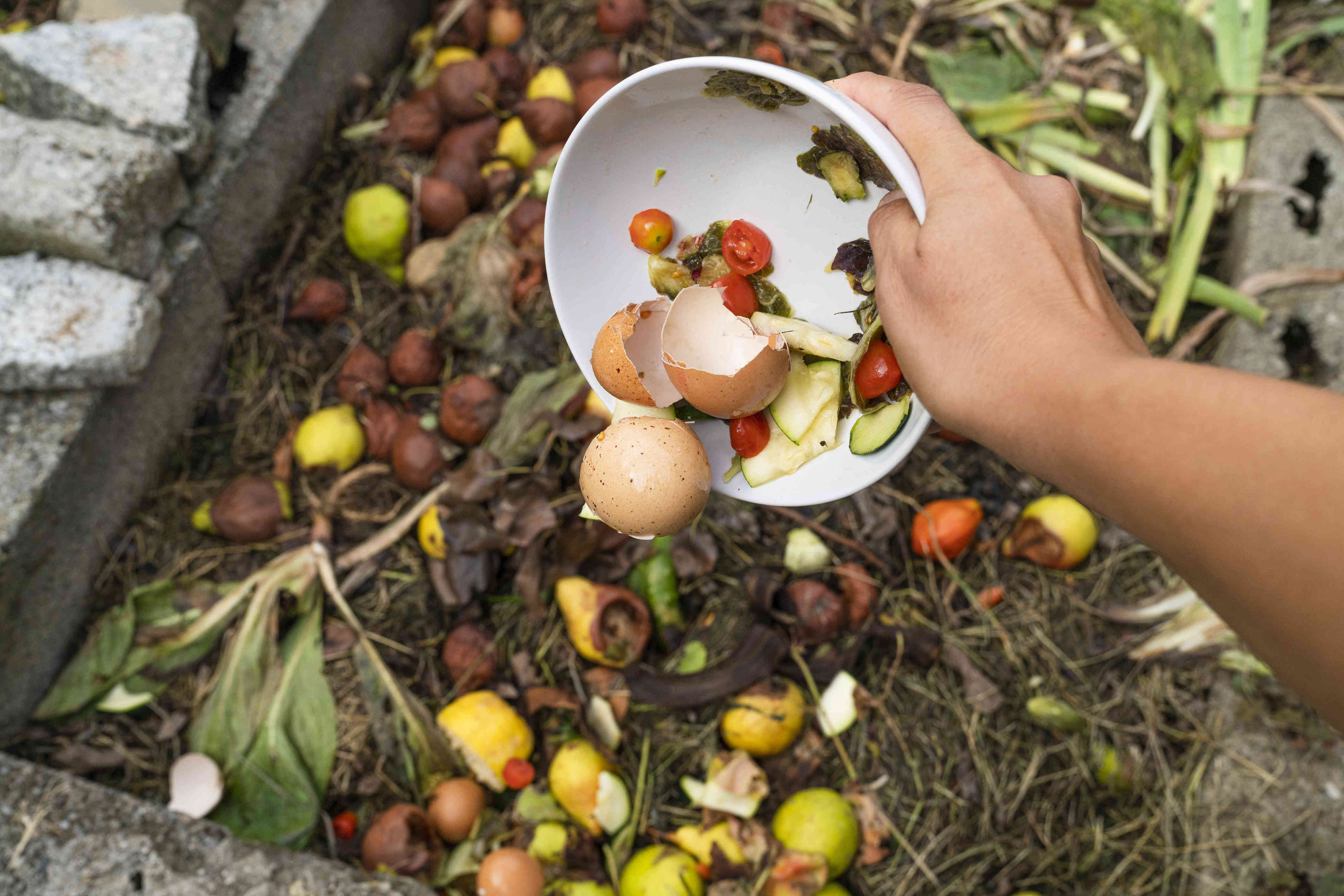 10 Things You Should Never Compost