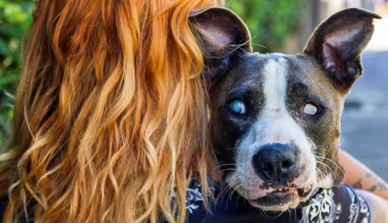 What Happens When Your Pet Outlives You?