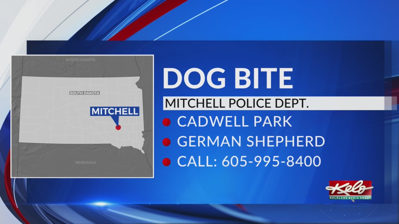 Mitchell police search for dog biting people