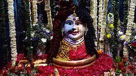 Maha Shivratri 2025: Chhattisgarh Celebrates With Devotion And ...