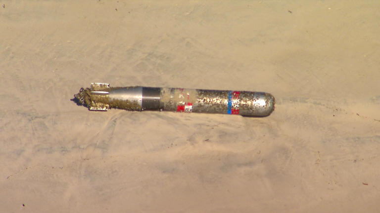 Defence training torpedo mysteriously washes up on Gold Coast beach