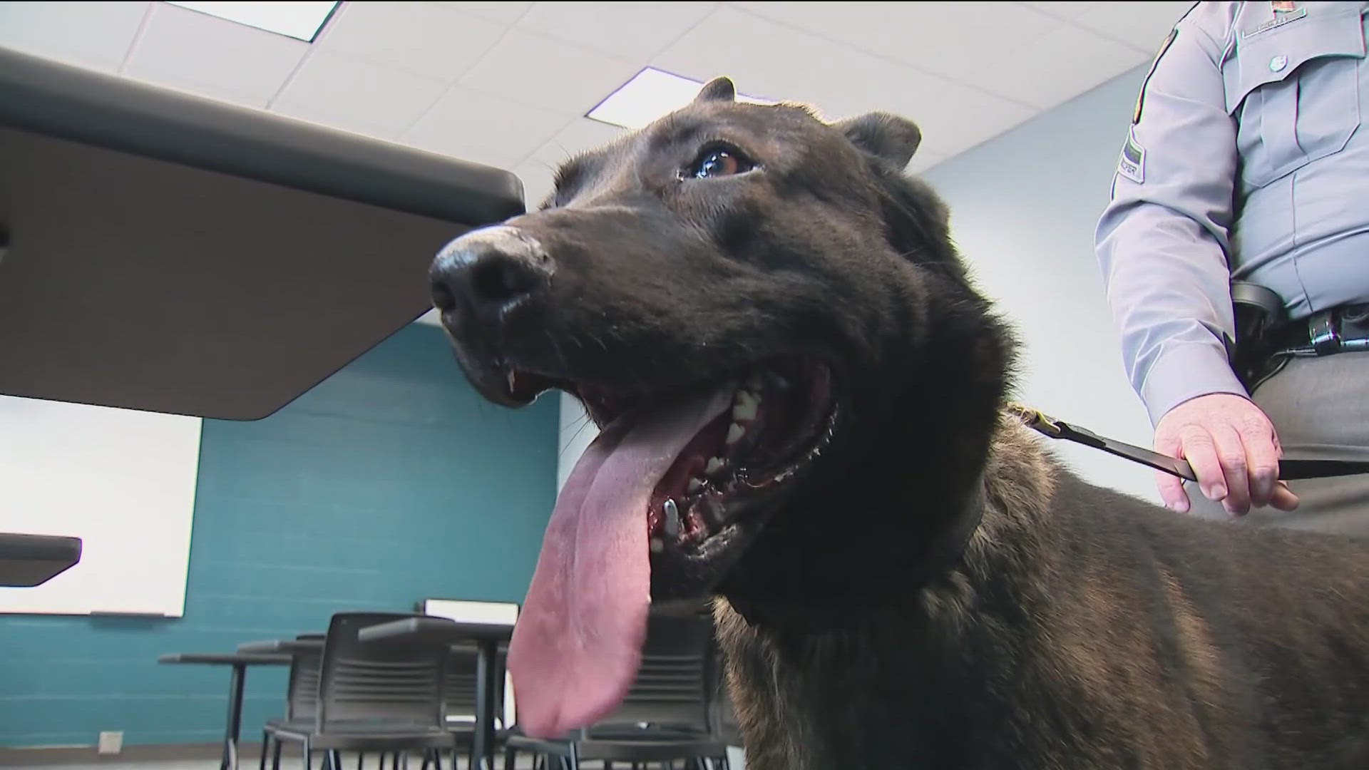 Ohio State Highway Patrol graduates latest class of K-9s