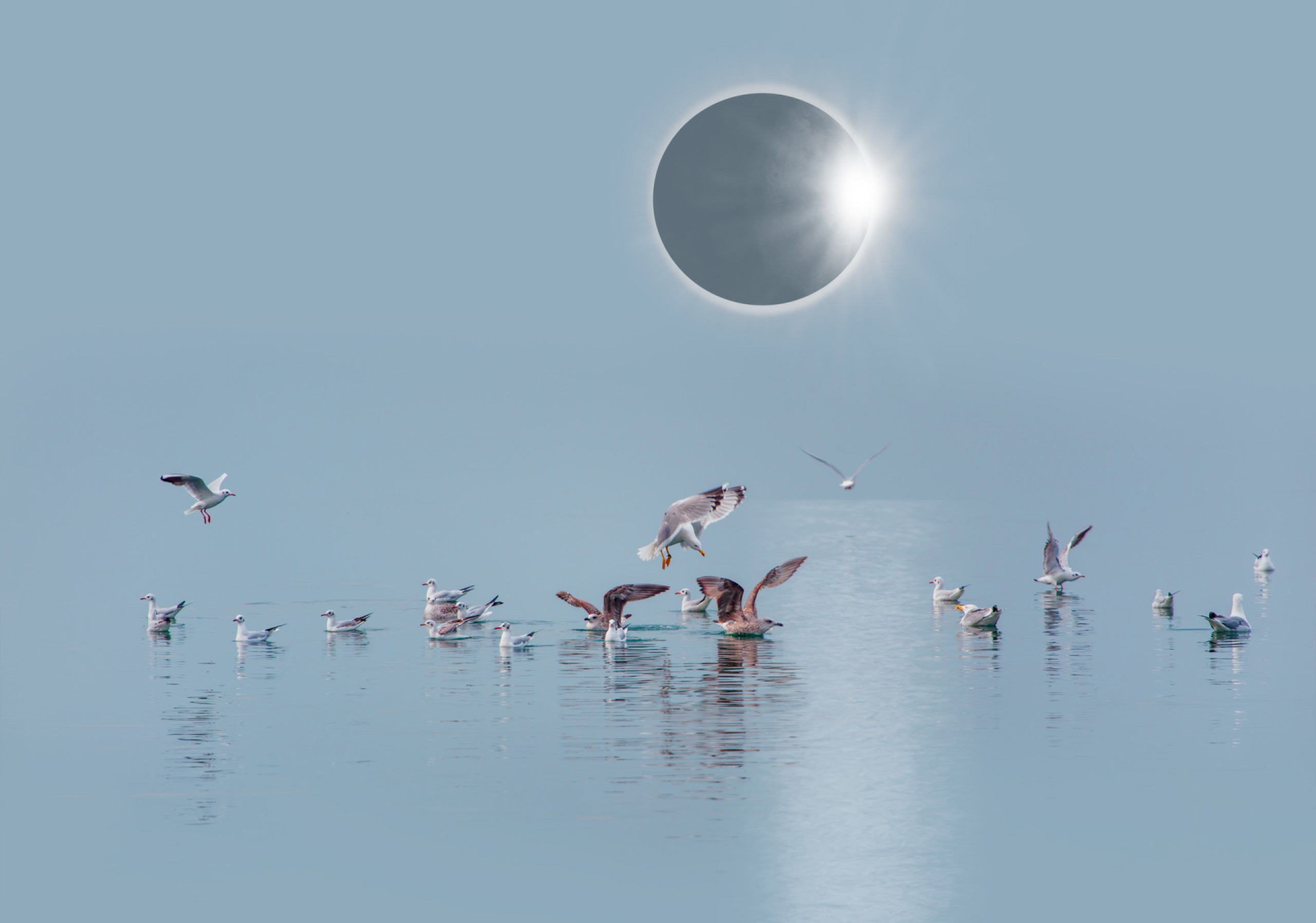 Watch out for these weird things that can happen during a solar eclipse