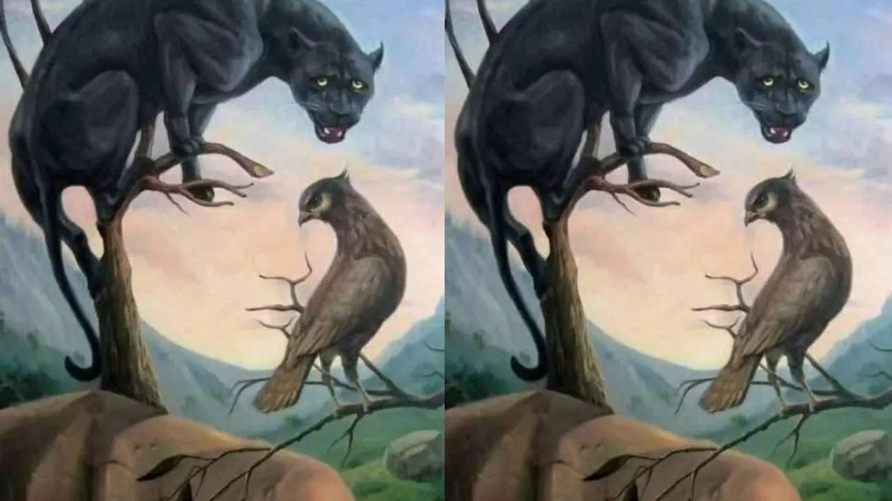 Optical Illusion Personality Test: First thing you notice reveals ...