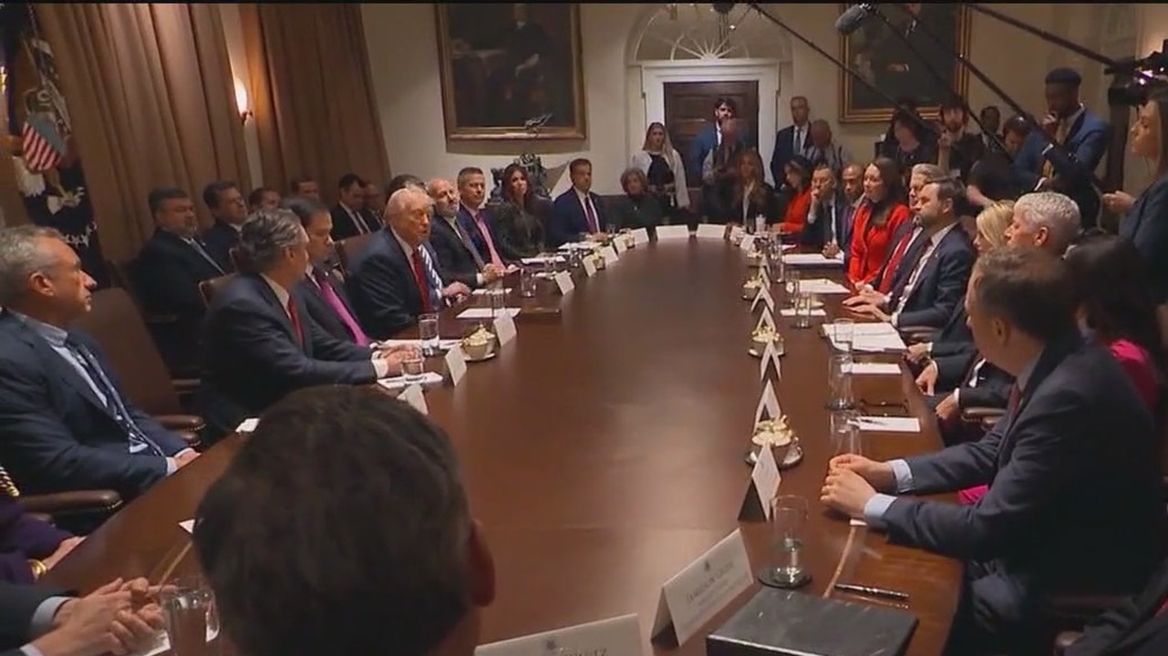 Elon Musk address Trump's cabinet
