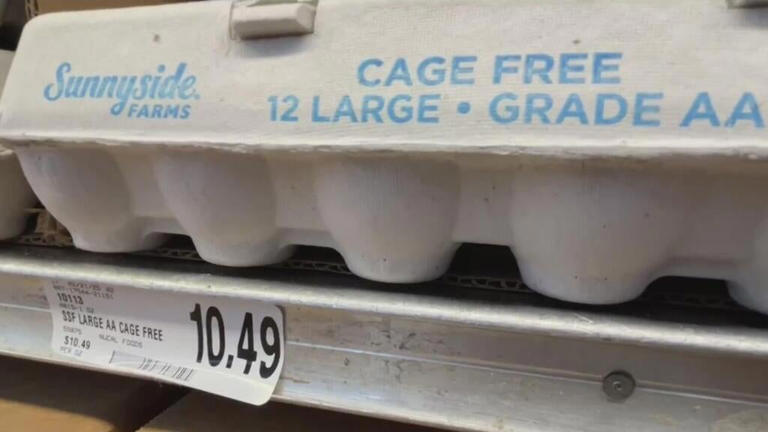 Egg shortage caused by bird flu impacting Petaluma poultry farmers