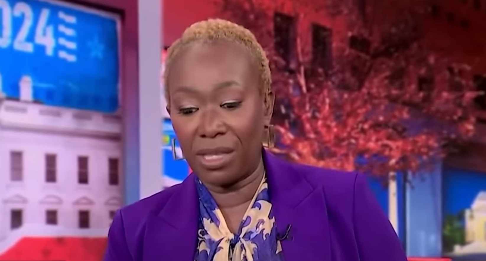 MSNBC Cancels Another Show Amid Viewership Decline