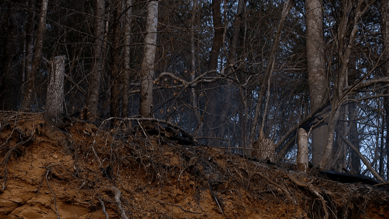 Wildfire near Marion grows to 52 acres, 90% containment