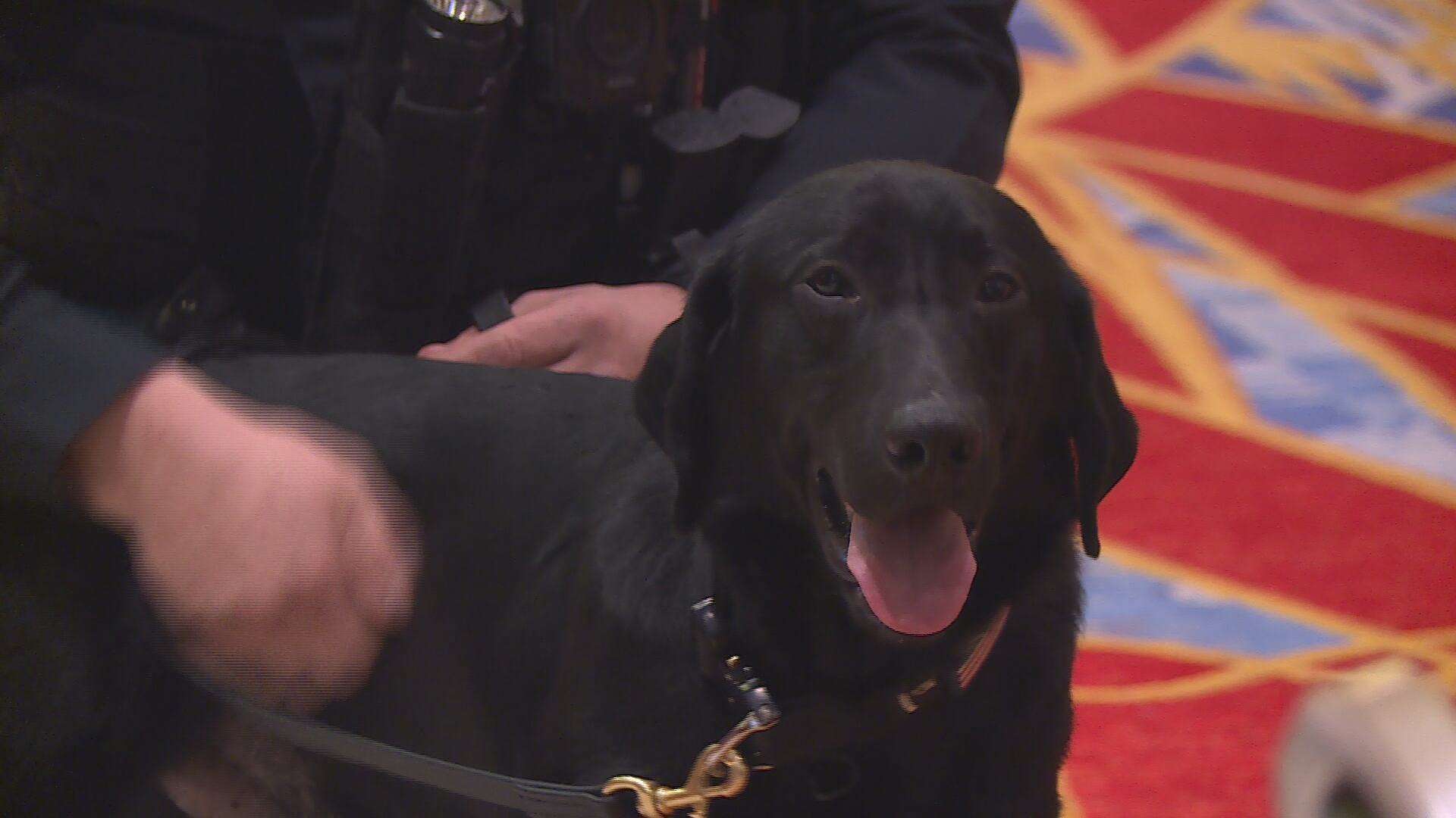 Bomb-sniffing K-9 added to Winnebago County Sheriff’s Office