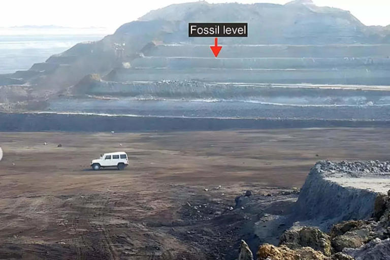 Was Lord Shiva's mighty Vasuki naag real? Fossils of a prehistoric 50 ...