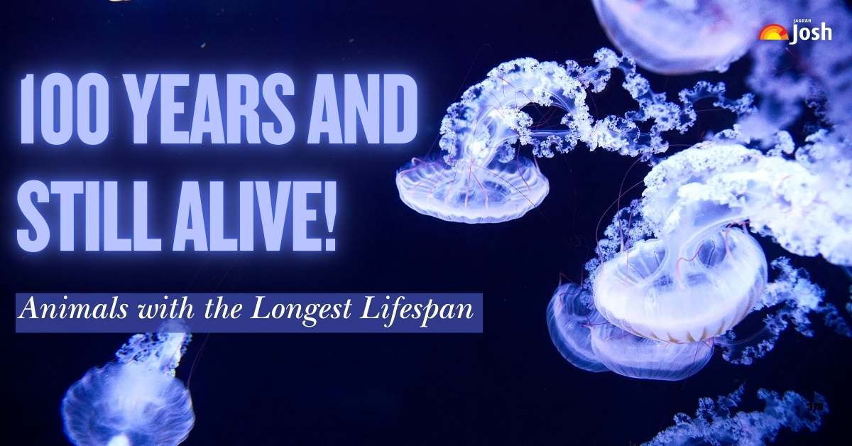 Which 5 Animals Live for 100 Years? The Longest-Living Animal on Earth ...