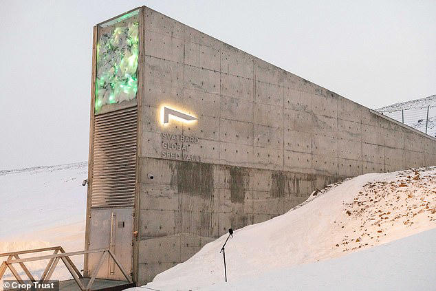 Peer inside the 'Doomsday Vault' - as 14,000 new samples are added