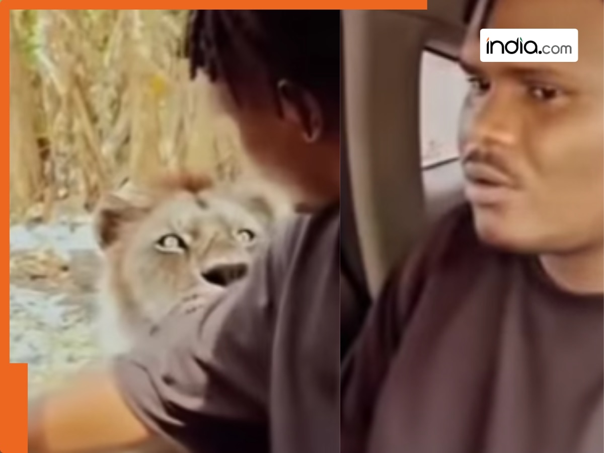 Sher Ka Video: कार से उतरने के लिए शख्स ने खोला दरवाजा सामने खड़ा था ...