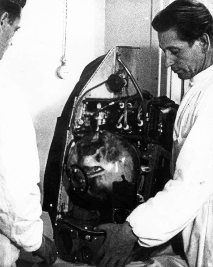 28 Messed-Up Historical Facts And Events That I'm Willing To Bet They ...