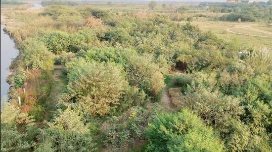 New features on Parivesh 2.0 to help fast-track forest clearances