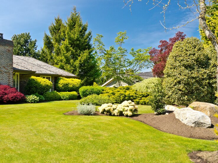 Rasen neu anlegen: In 6 einfachen Schritten