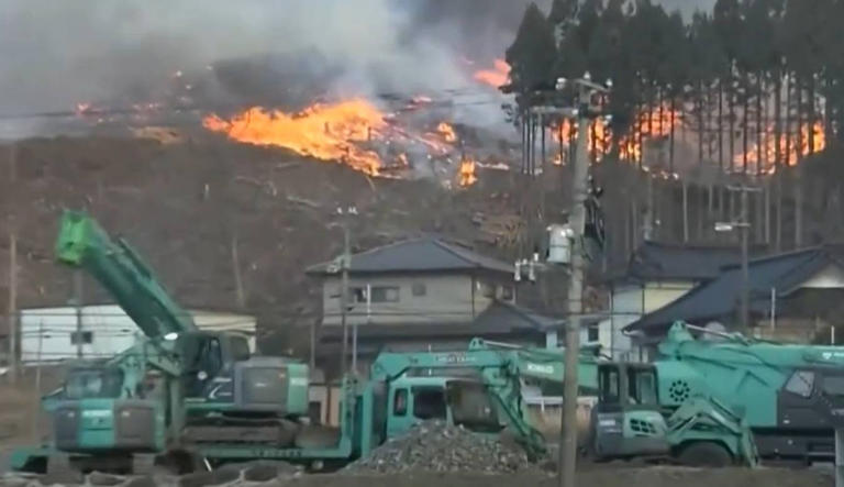 Japan forest fire kills one, prompts evacuations