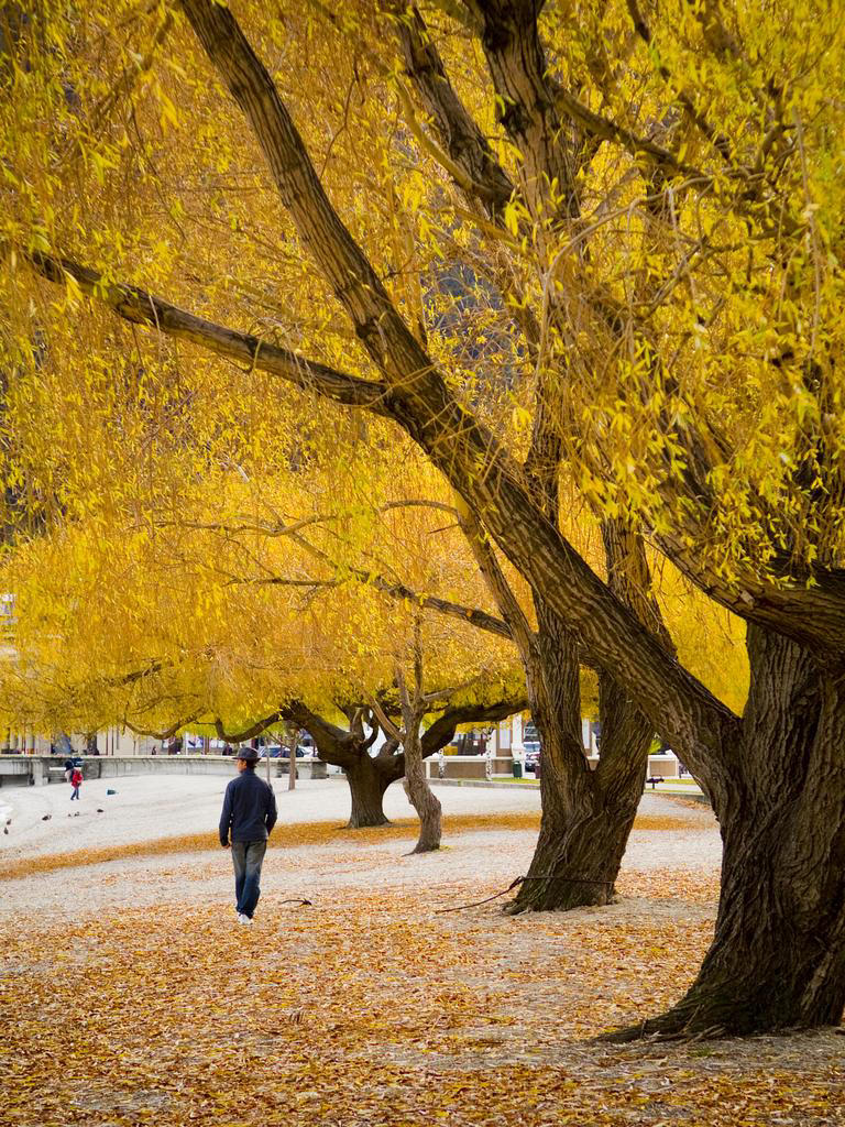 Aussies brace for wild, hot autumn