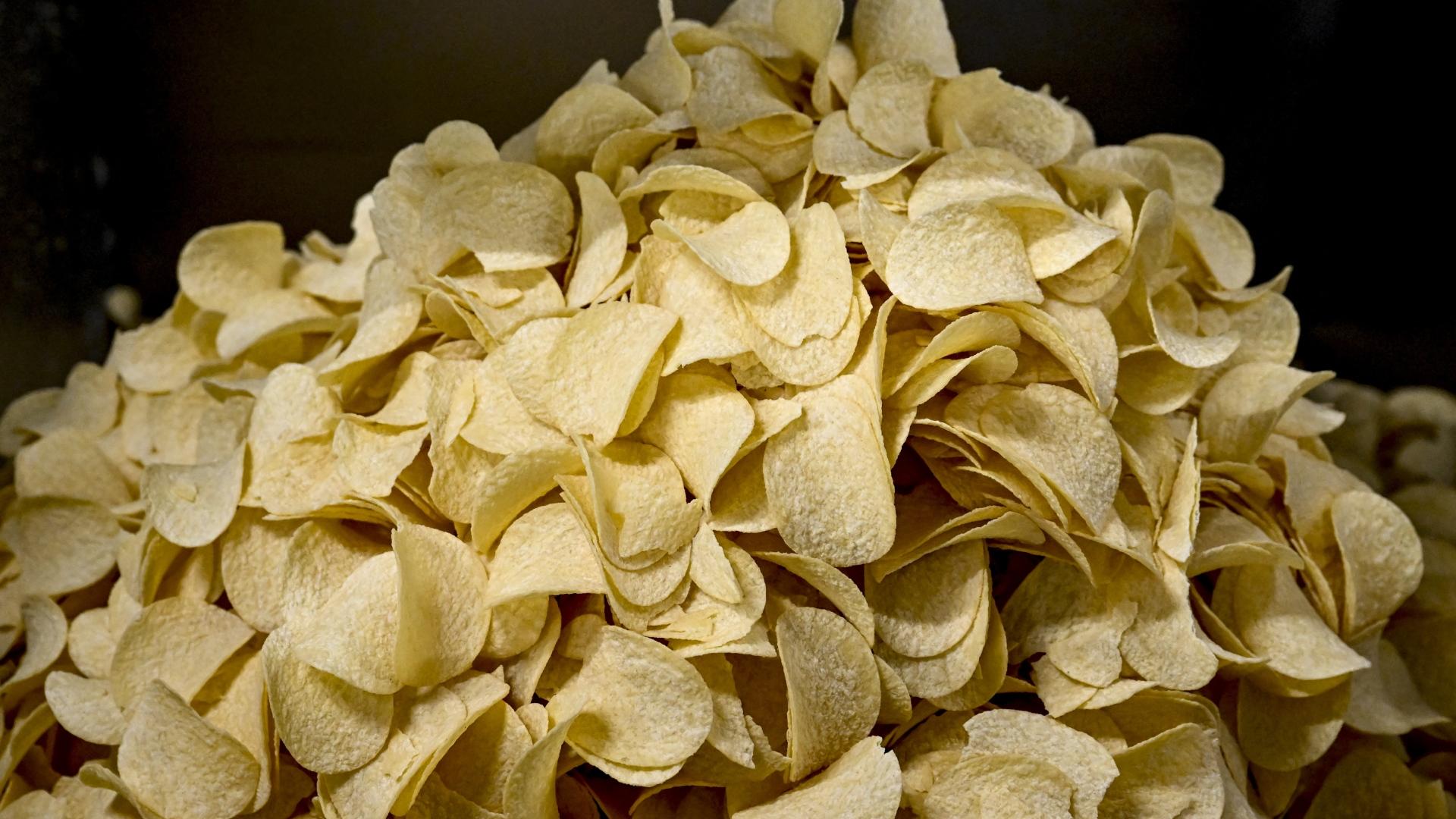 Übergewicht beginnt im Gehirn